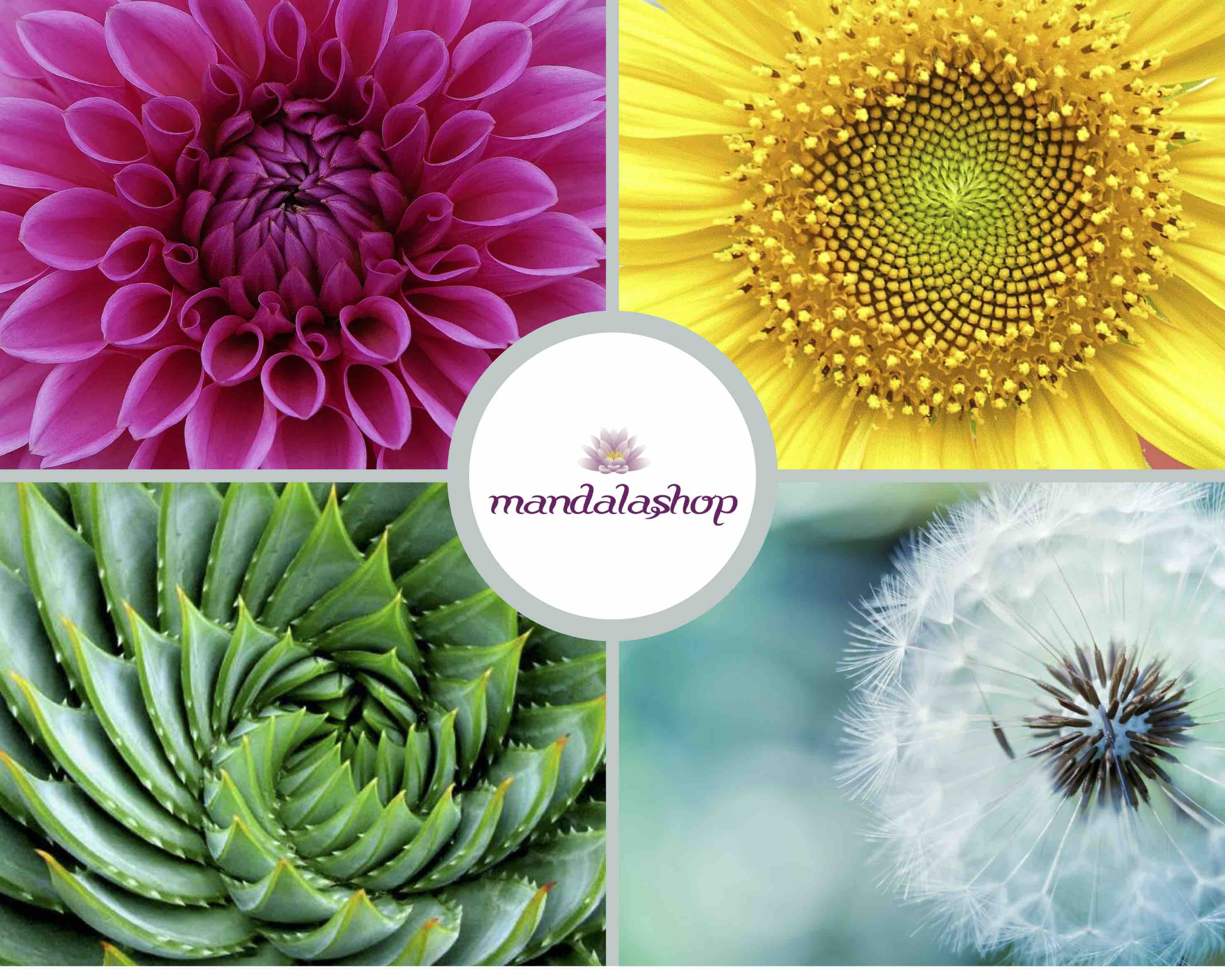 Exploring mysteries of Sacred Geometry in Nature